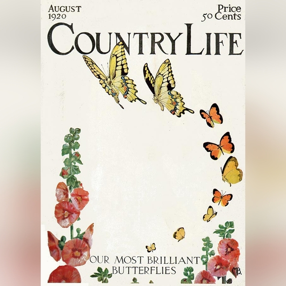 Vintage | Art | Vintage Country Life Magazine Cover Art | Poshmark